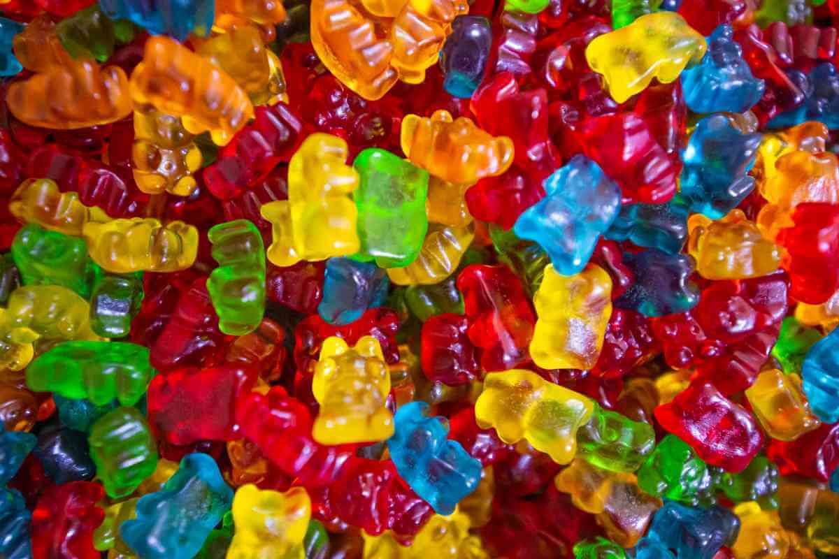 Can Dogs Have Gummy Bears What You Need To Know